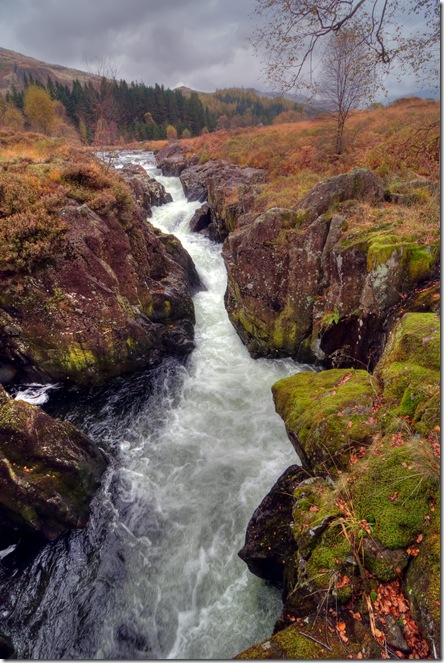 davesdistrictblog: an instinctive journey back to the beginning